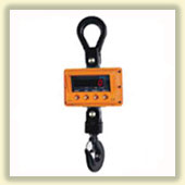 Scaletech Instruments & Services Pvt. Ltd. Crane Scales